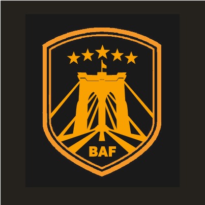 Одежду Brooklyn Armed Forces купить в Украине - цены на товары Brooklyn ...